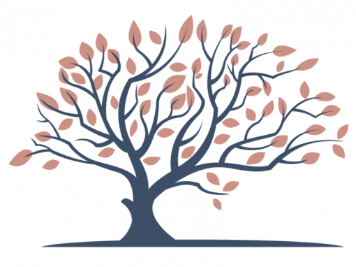 Professor Anne MacGregor - Specialist in headache and women's health