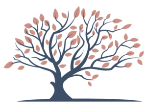 Professor Anne MacGregor - Specialist in headache and women's health